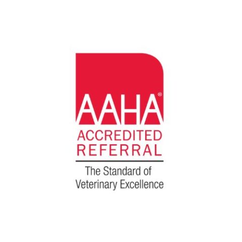About Radnor Veterinary Hospital | Vet in Wayne, PA 19087